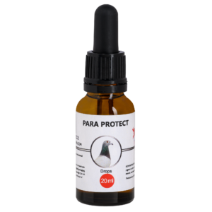 Breeding Archives - Cest Pharma