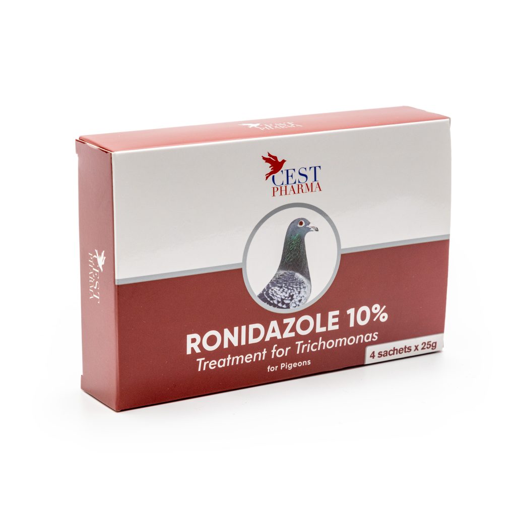 RONIDAZOLE 10% - Treatment for racing pigeons